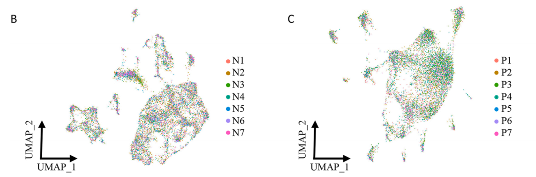 snRNA-seq vs scRNA-seq谁更nice，用数据说话-CSDN博客