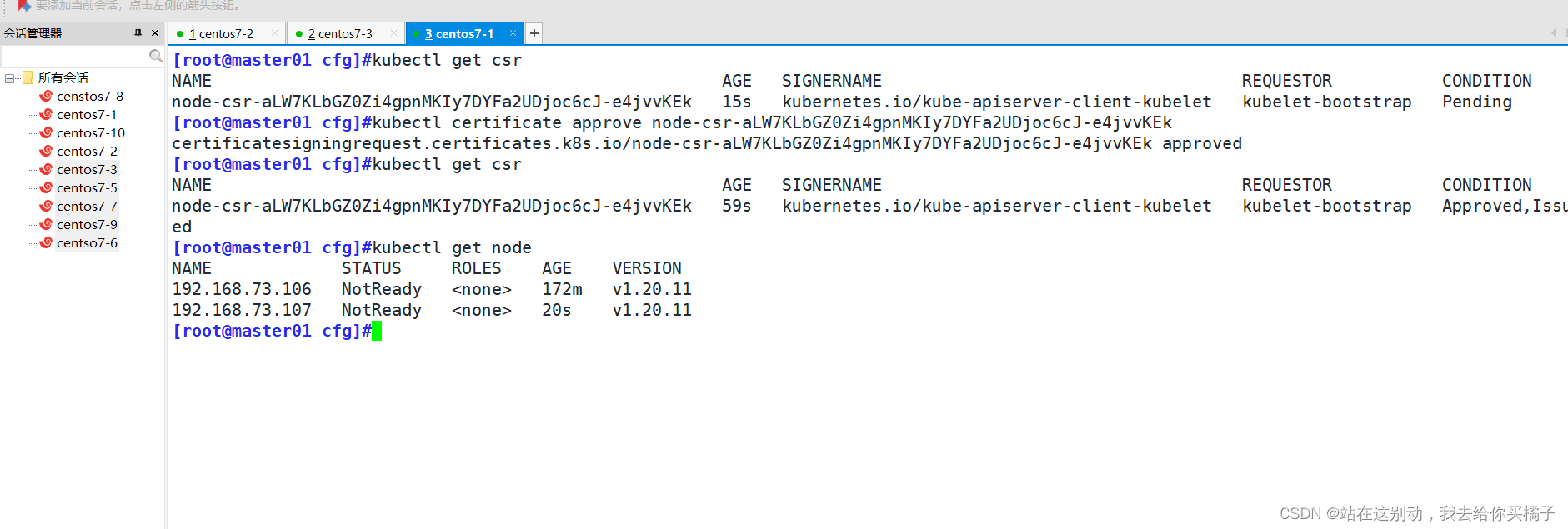 【云原生】二进制部署k8s集群（中）搭建node节点_cni-plugins-linux-amd64-v0.8.6.tgz-CSDN博客