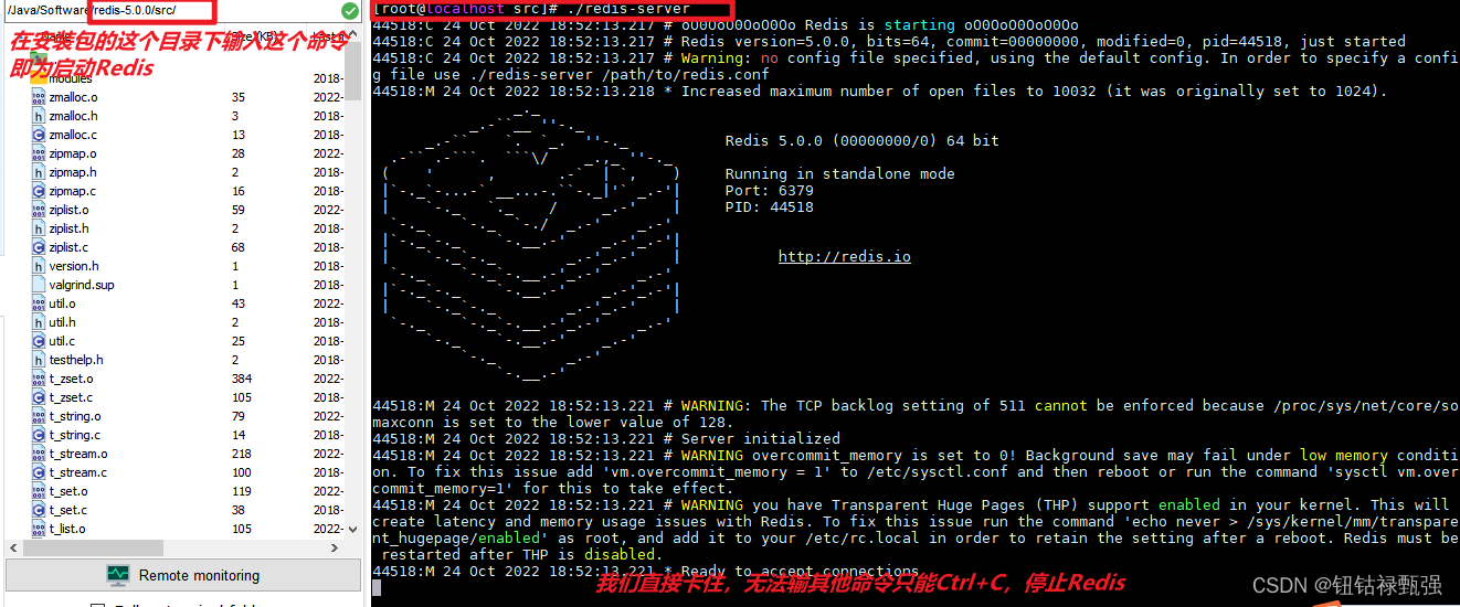 程序员必看内容连续集之 Redis 01_redis daemonize-CSDN博客