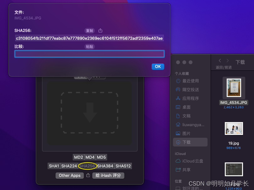 获取文件 SHA-256 值_sha256是什么文件-CSDN博客