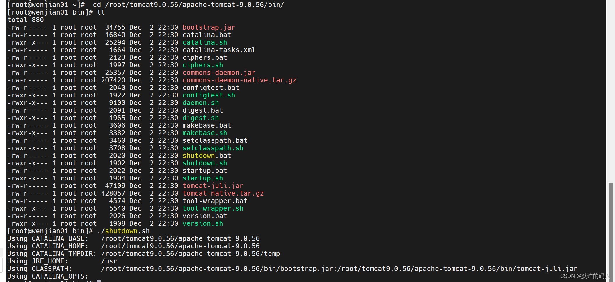 centos7.6的64位安装tomcat9.0.56-CSDN博客