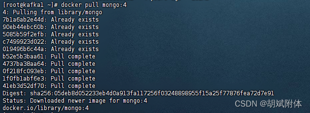 mongo使用docker安装创建运行环境_mongo docker-CSDN博客