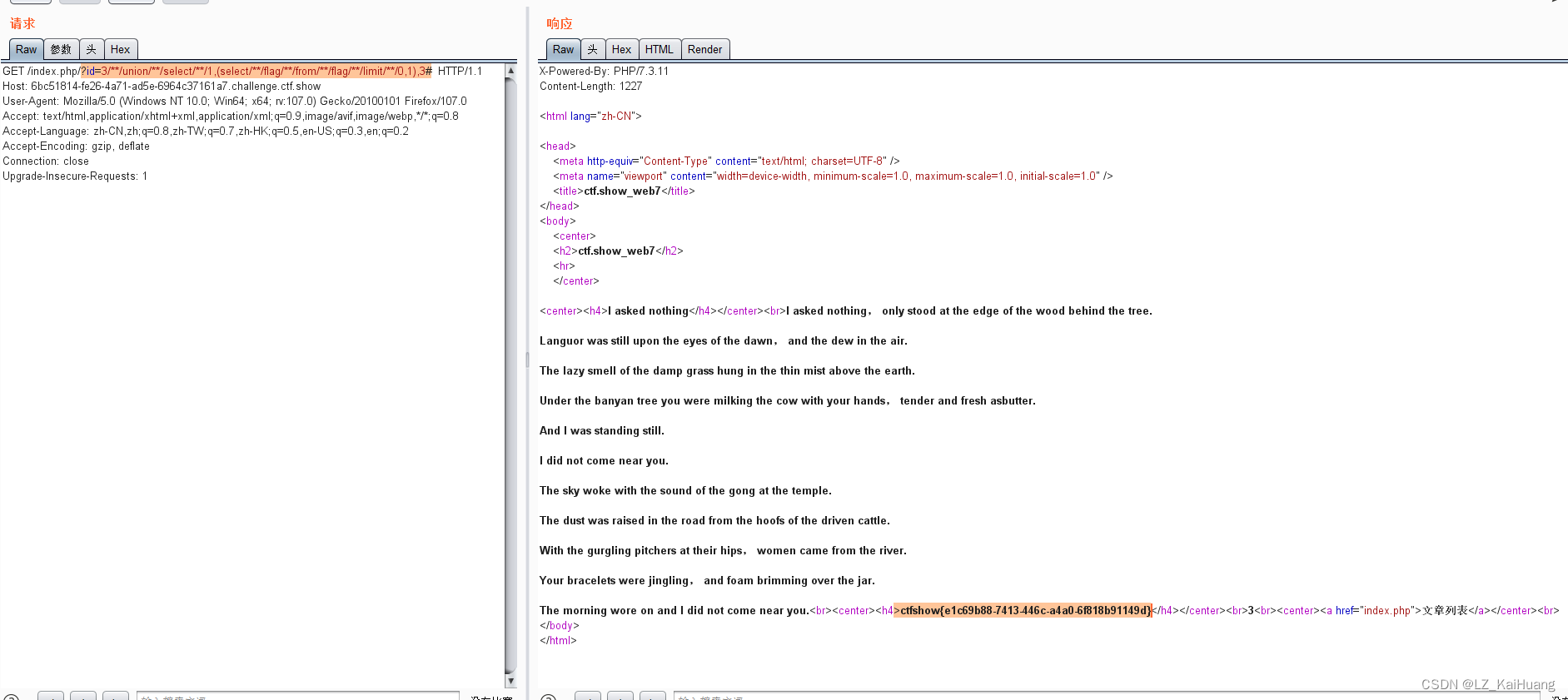 Ctf Show Web 解题笔记（web7~web10）ctfshow Web7 Csdn博客