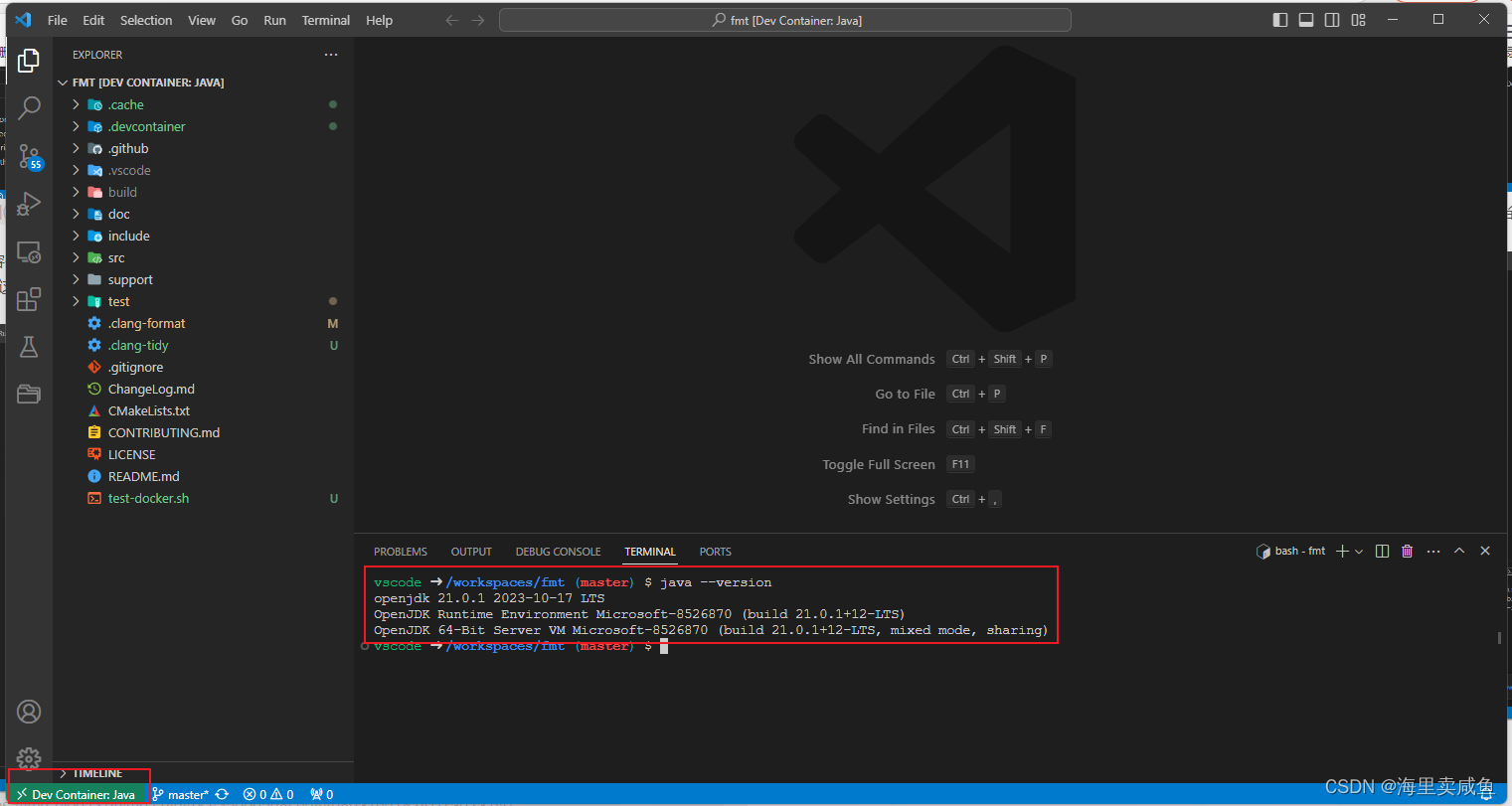 基于VSCode+Clangd+lldb搭建Linux C++环境_vscode lldb-CSDN博客