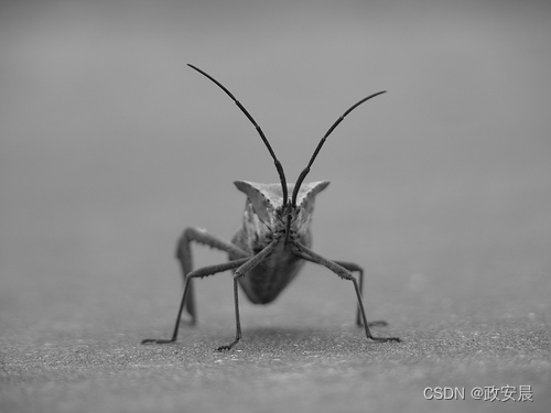 政安晨：在jupyter中【示例演绎】matplotlib的官方指南（二） Image Tutorial · Python语言 Jupyter Matplotlib Csdn博客