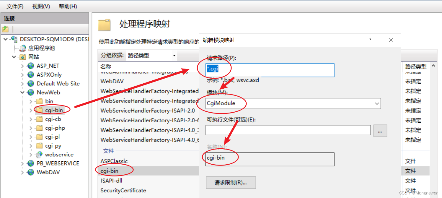 IIS CGI配置和CGI程序FreeBasic, VB6, VC 简单样例-CSDN博客