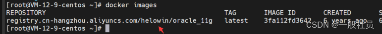 Docker安装Oracle11c_oracle 11c-CSDN博客