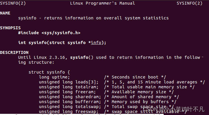 sysinfo 函数_sysinfo函数-CSDN博客