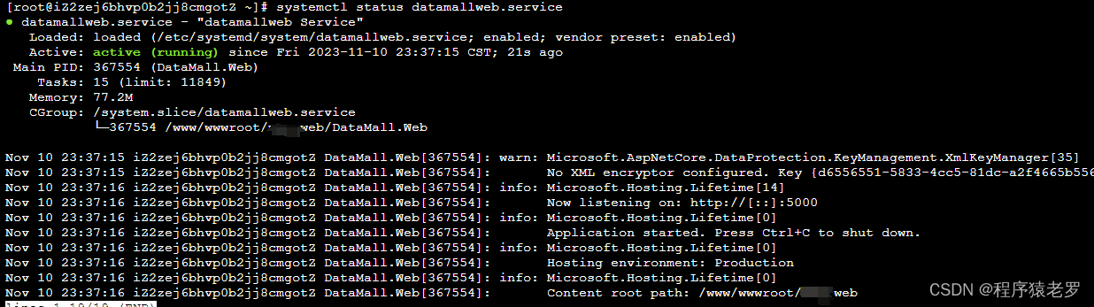 如何将NetCore Web程序独立发布部署到Linux服务器_netcore发布到linux-CSDN博客