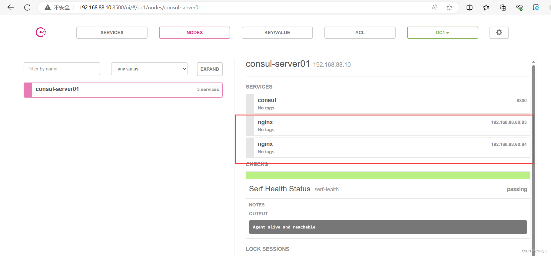 Docker consul 的容器服务更新与发现_docker 微服务 dns 服务发现-CSDN博客