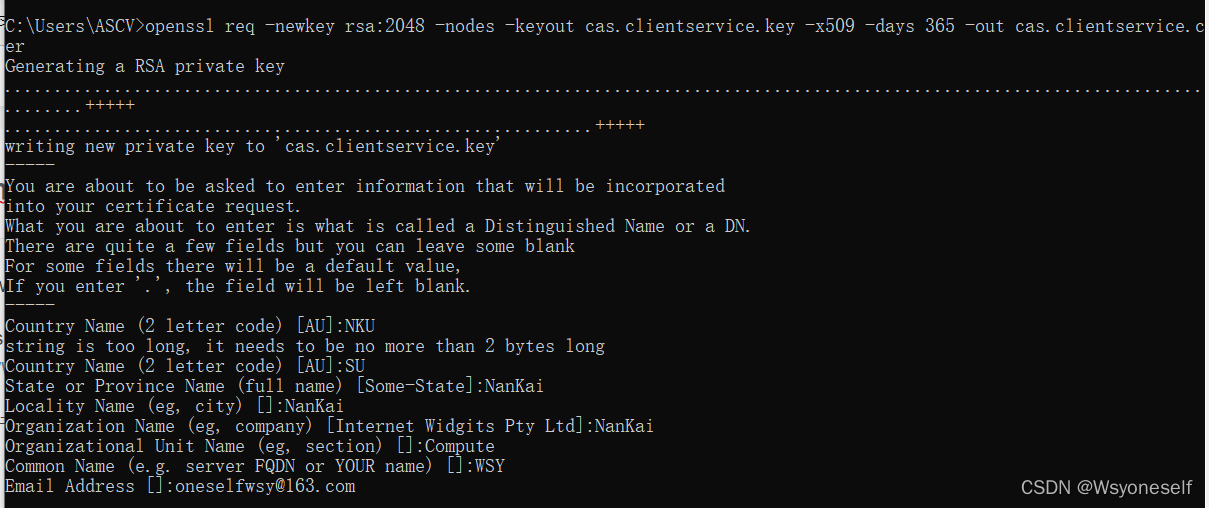 使用OpenSSL在Windows上生成证书-CSDN博客