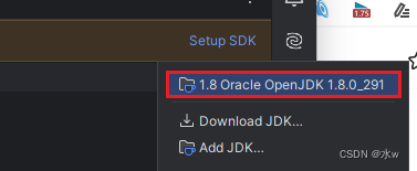 【idea-sprongboot项目】在linux服务器上纯远程开发方式_idea linux远程调试spring boot-CSDN博客