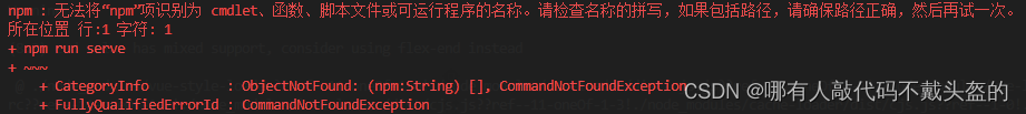 NVM安装node后没有npm（无法将“npm”项识别为 cmdlet、函数、脚本文件）_node安装完后 查不到npm-CSDN博客