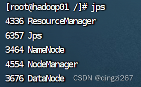 Hadoop集群启动，部分进程没有启动成功的解决办法02之 ResourceManager与NodeManager_hadoop启动jps缺少nodemanager-CSDN博客