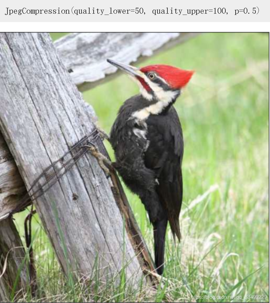 Albumentation使用指南-CSDN博客