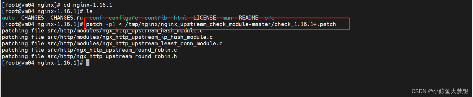 Nginx 第三方健康检测模块的使用_nginx check模块-CSDN博客