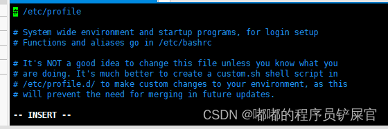 Linux centos7.0搭建Java开发环境(保姆级教程)_centos7 java-CSDN博客