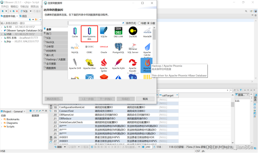 DBeaver连接InterSystems IRIS、Ensemble、Cache操作说明_dbeaver连接cache-CSDN博客