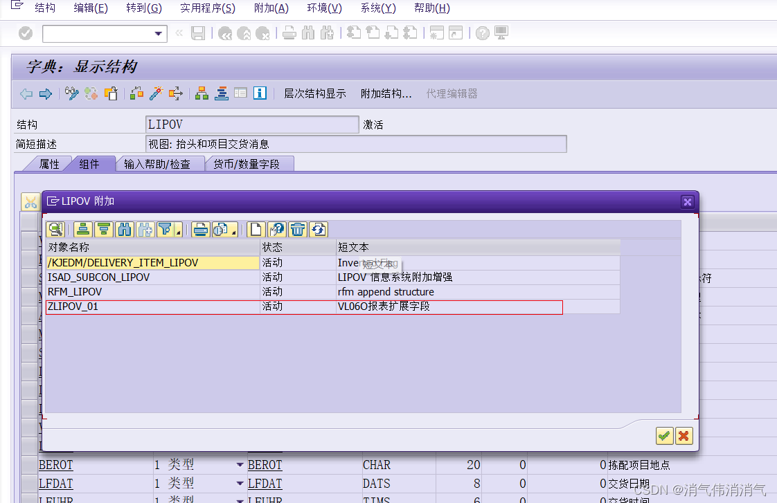 VL06O报表添加增强字段-CSDN博客
