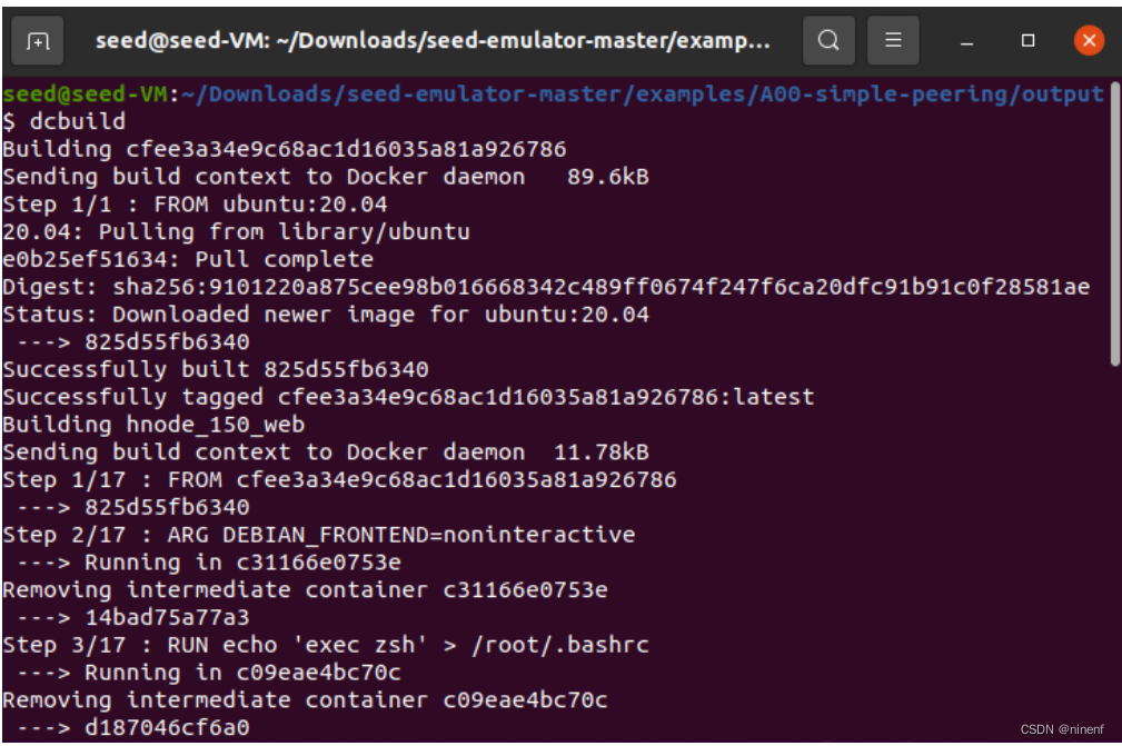 SEED Emulator之配置docker和互联网模拟器_dcbuild-CSDN博客