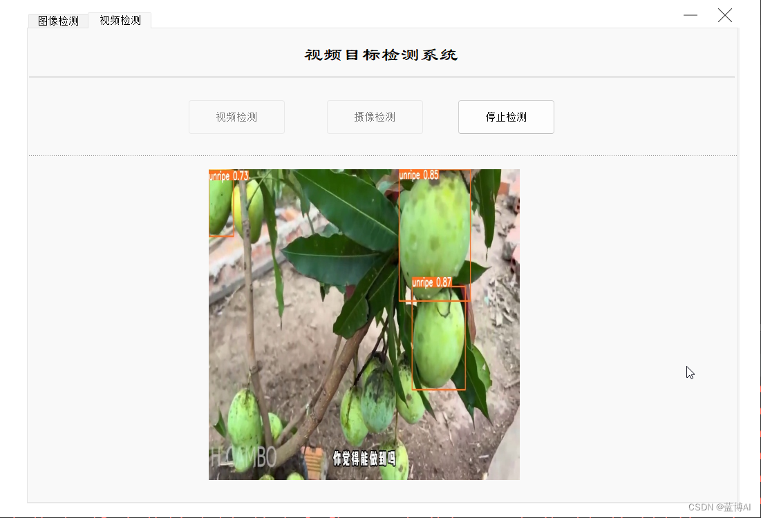 基于yolov5的芒果成熟度检测系统，支持图像检测，视频检测和实时摄像检测功能（pytorch框架，python源码）芒果yolov5 Csdn博客