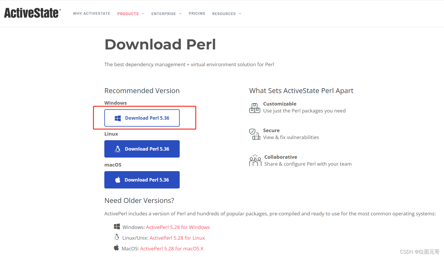 Windows10系统安装perl命令_如何在win10里安装perl-CSDN博客