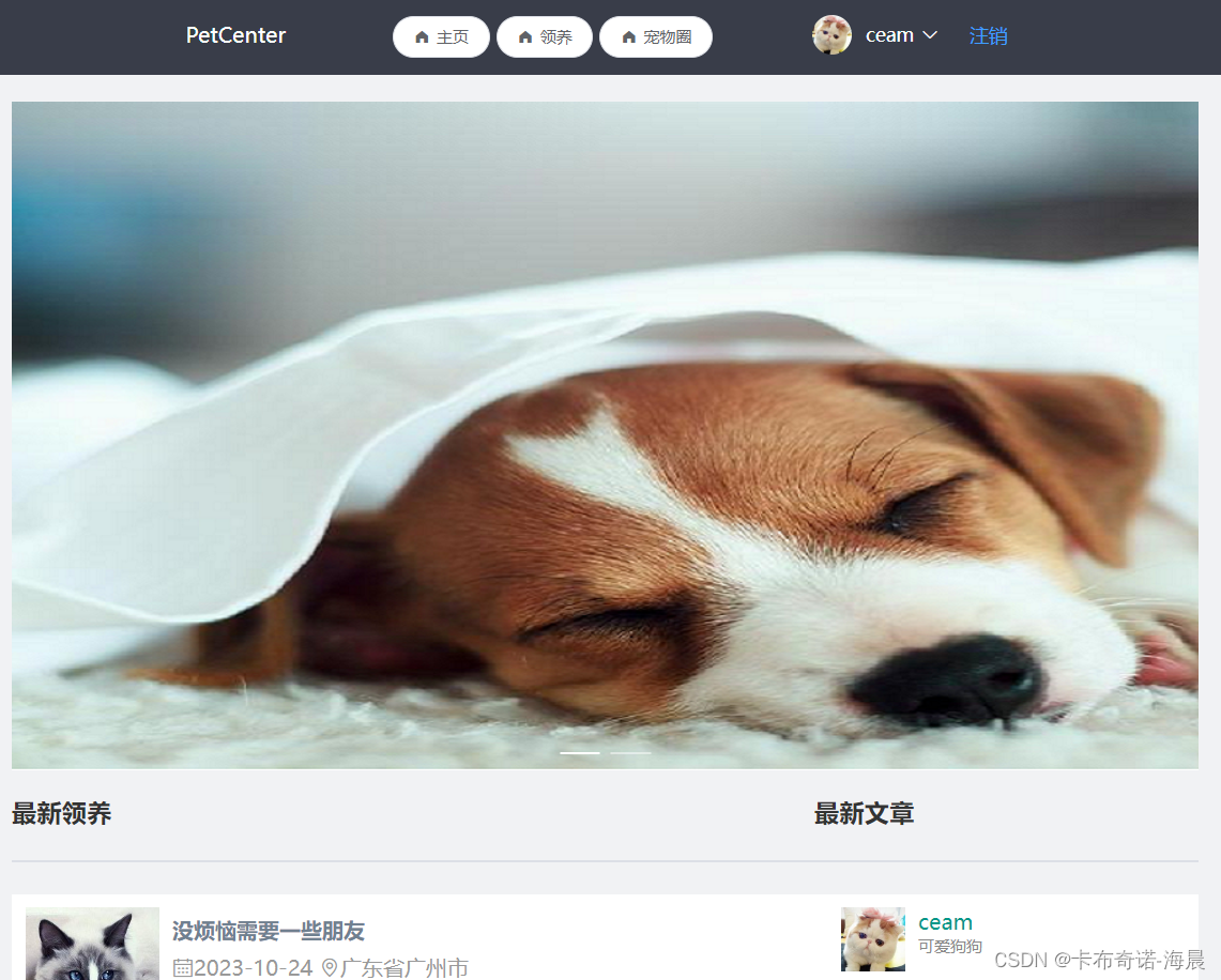 基于javaspringbootmybatisvue前后端分离宠物领养设计与实现（有文档）基于java的预约撸宠系统的设计与实现 Csdn博客