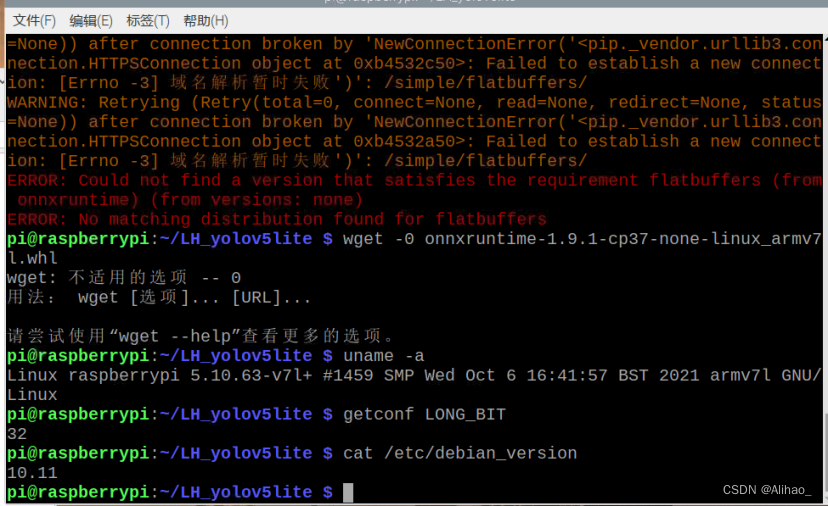 树莓派部署yolov5-lite全过程及踩坑记录-CSDN博客
