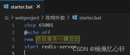 windows下redis服务启动及.bat文件中中redis服务的启动_redis里面没有redisstarter.bat文件怎么办-CSDN博客
