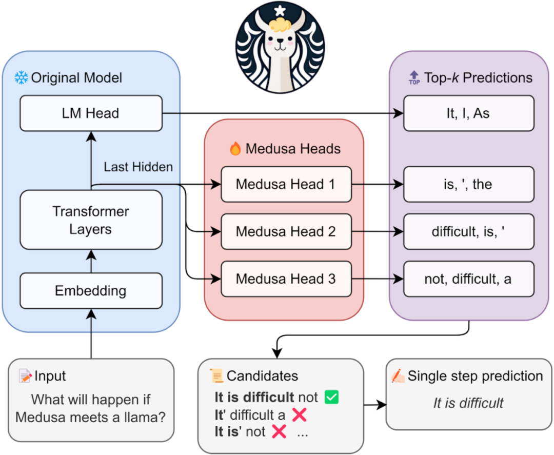 LLM推理加速新范式！推测解码（Speculative Decoding）最新综述-CSDN博客