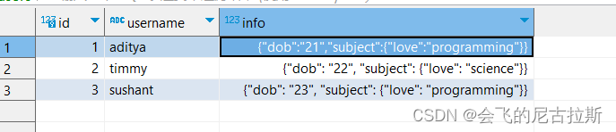 sqlalchemy更新json 字段的部分字段_sqlalchemy json字段-CSDN博客