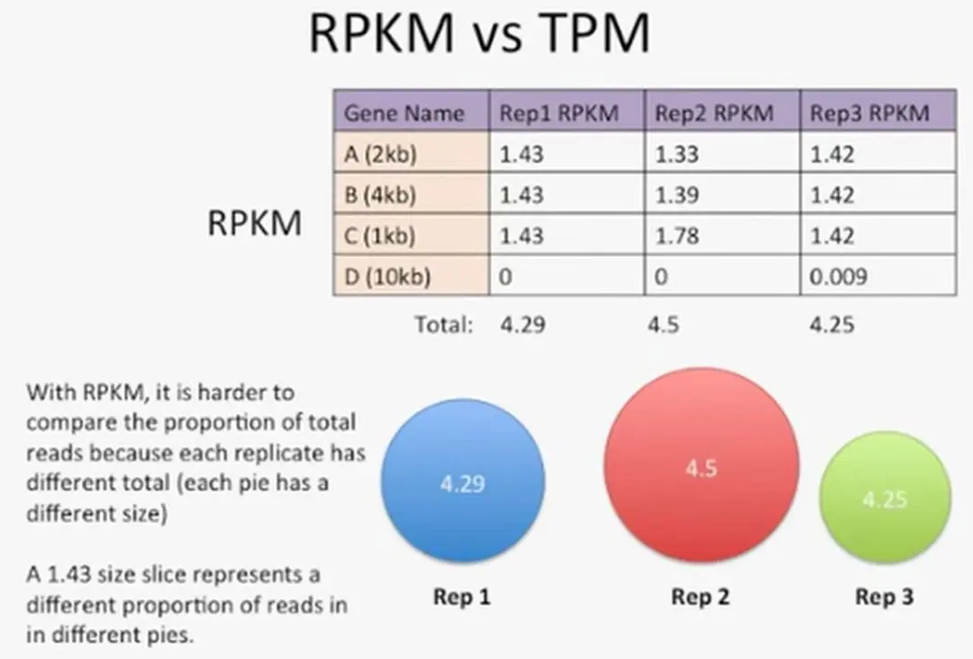 RPKM、FPKM 和 TPM cpm-CSDN博客