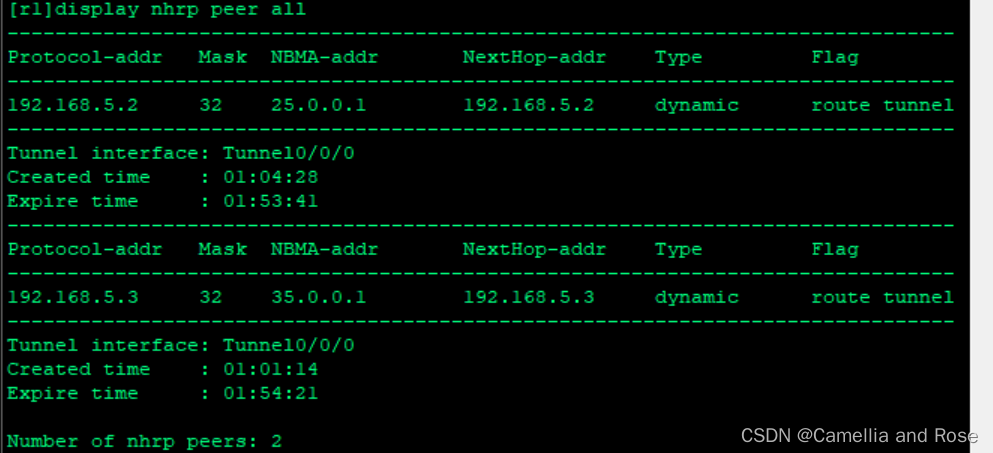 HCIP(GRE MGRE)DSVPN等综合实验_hgdp hgps-CSDN博客