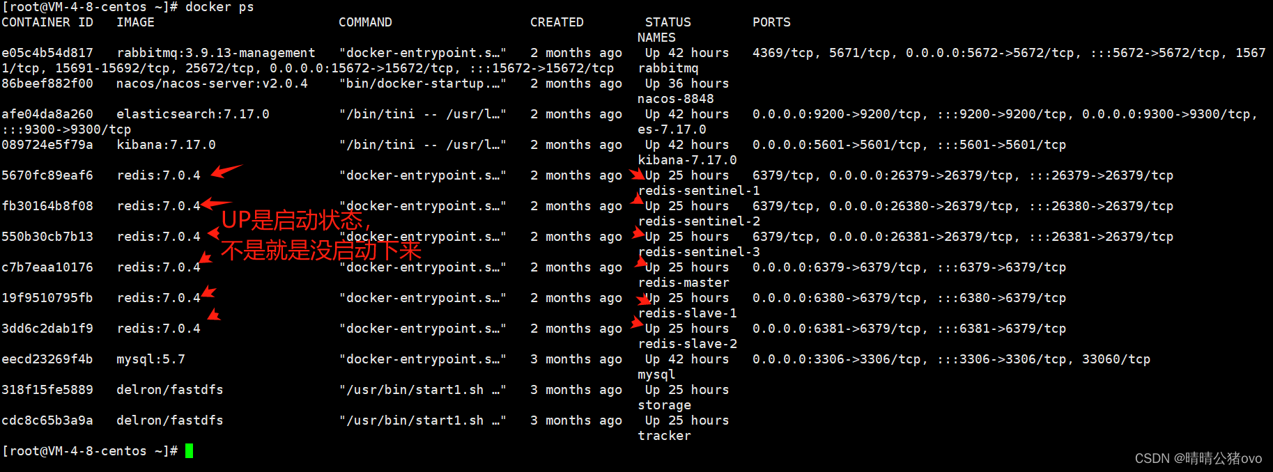 在启动项目的时候报Unable to connect to localhost/＜unresolved＞:6379_unable to connect to localhost:6379-CSDN博客