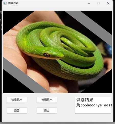通过python_CNN深度学习识别蛇类-含数据集+pyqt界面_蛇数据集-CSDN博客