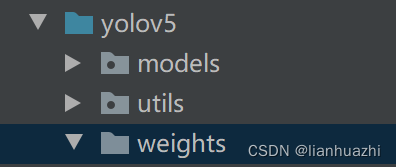 Yolov5+deepsort（人脸识别）+权重+问题总结_deepsort的权重文件-CSDN博客