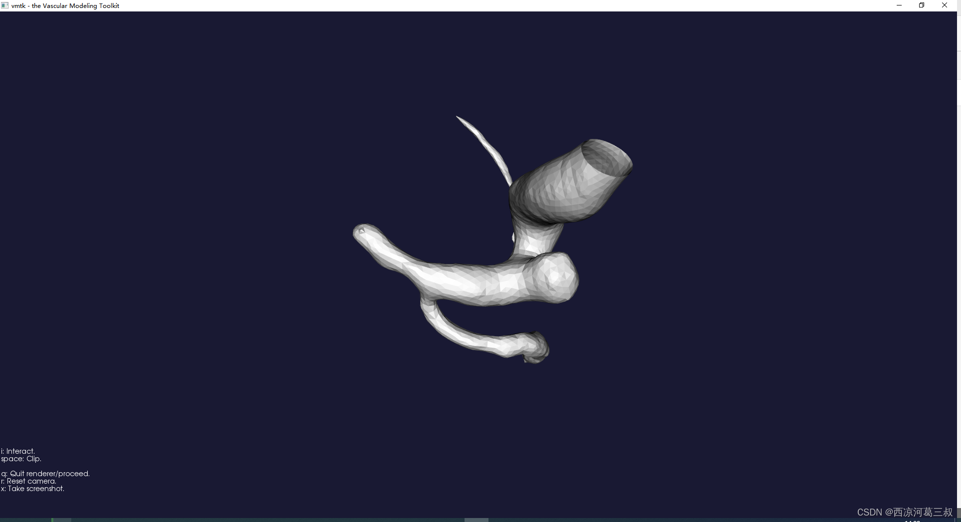 python & vmtk 提取血管中心线_python vmtk 血管中心线-CSDN博客