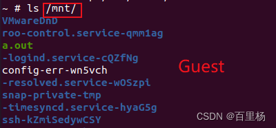 TinyEMU之源码编译与使用-CSDN博客