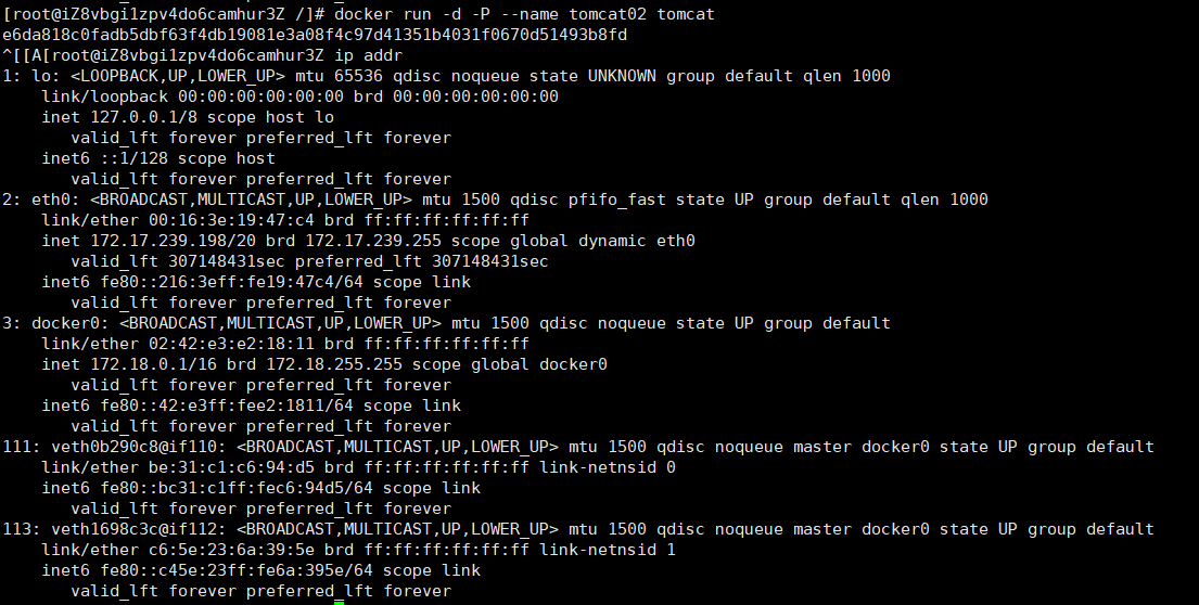 Docker(二)_error exporting to image-CSDN博客
