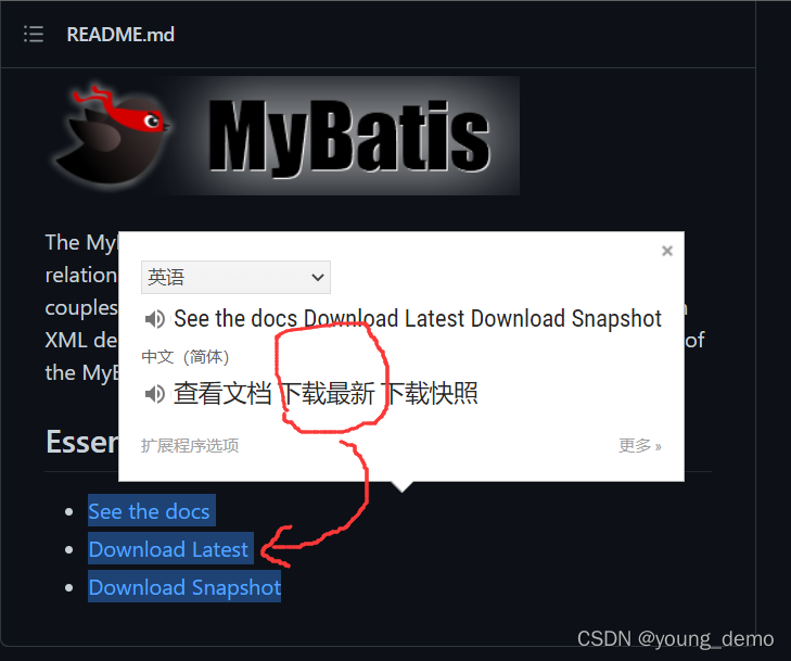 安装mybatis_mybits软件安装和下载-CSDN博客