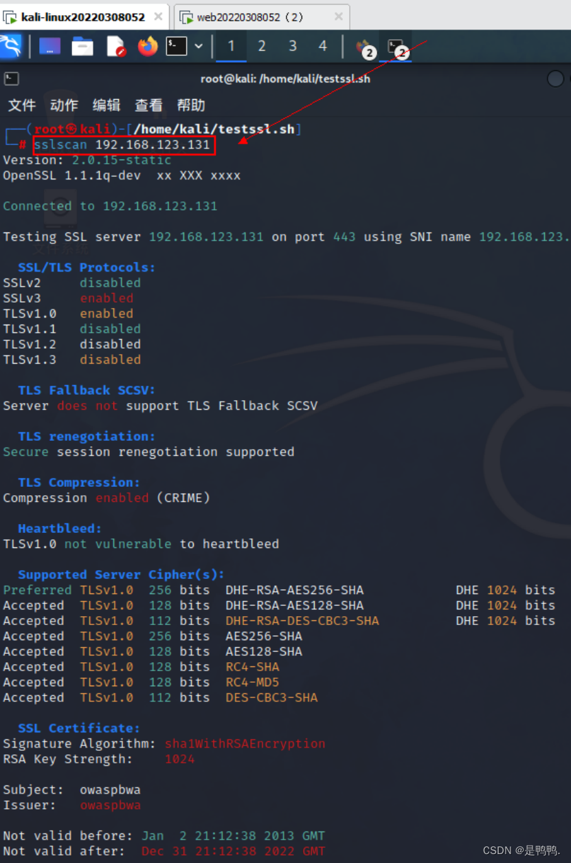 识别HTTPS加密参数_testssl-CSDN博客