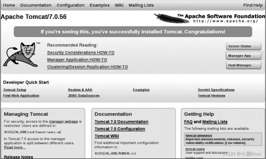 【云原生 | 23】Docker运行Web服务实战之Tomcat_#安装跟tomcat用户认证相关的软件-CSDN博客