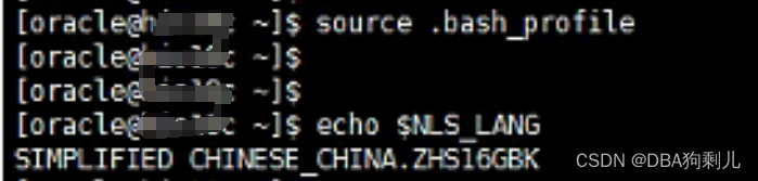 linux下sqlplus登录oracle显示问号处理办法_sqlplus 登录后显示???-CSDN博客
