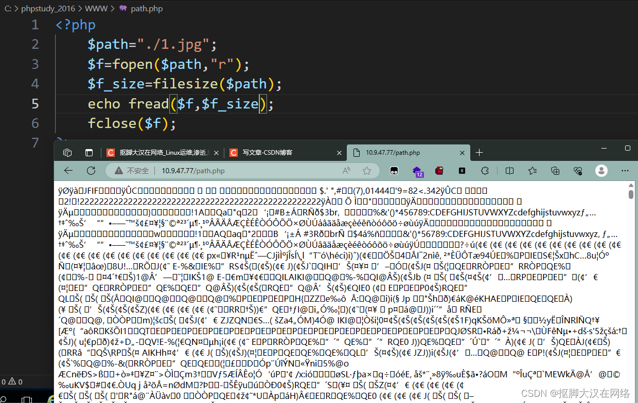 任意文件读取漏洞 (Arbitrary File Read/Download Vulnerability)_ewebs-arbitrary ...