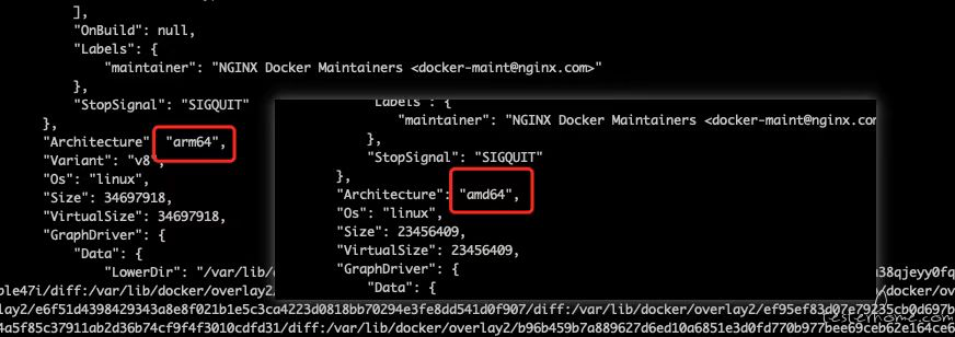 Dockerfile 构建 Vue 镜像,我的踩坑记录和解决方法dockerfile Vue Csdn博客