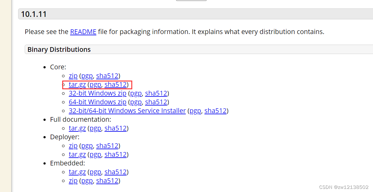 安装Tomcat_tomcat 10.1.11-CSDN博客