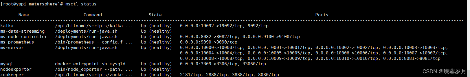 MeterSphere使用相关问题_dependency failed to start: container mysql is unh-CSDN博客
