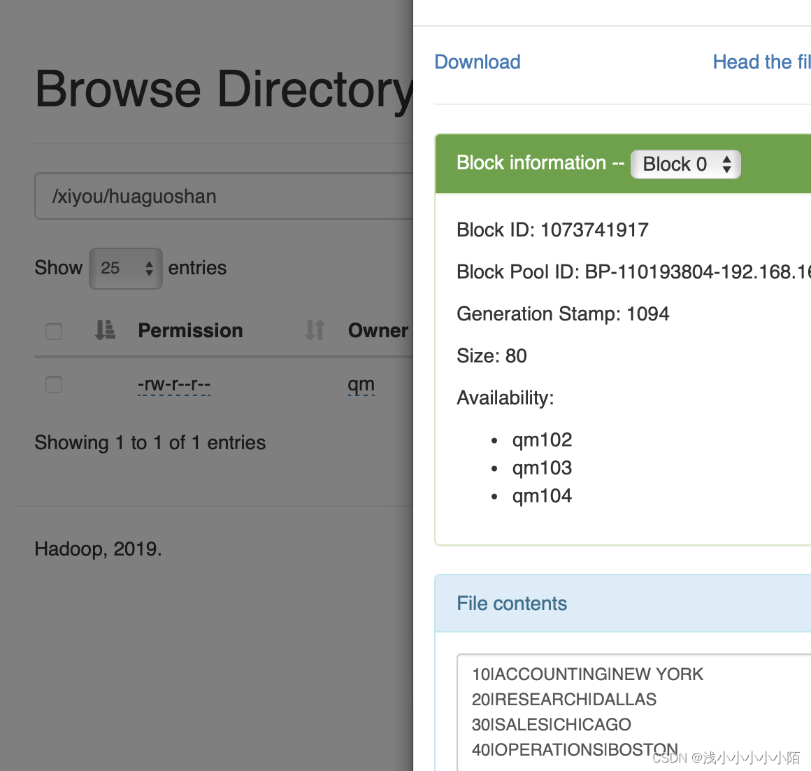 HDFS报错：Couldn‘t preview the file._couldn't preview the file.-CSDN博客