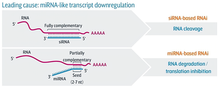 siPOOLs（一款高效、特异性好的RNAi试剂，可有效消除脱靶效应）_sirna pool-CSDN博客